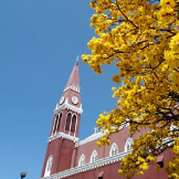 Daniel Cornett, Author at Onstipe Blog